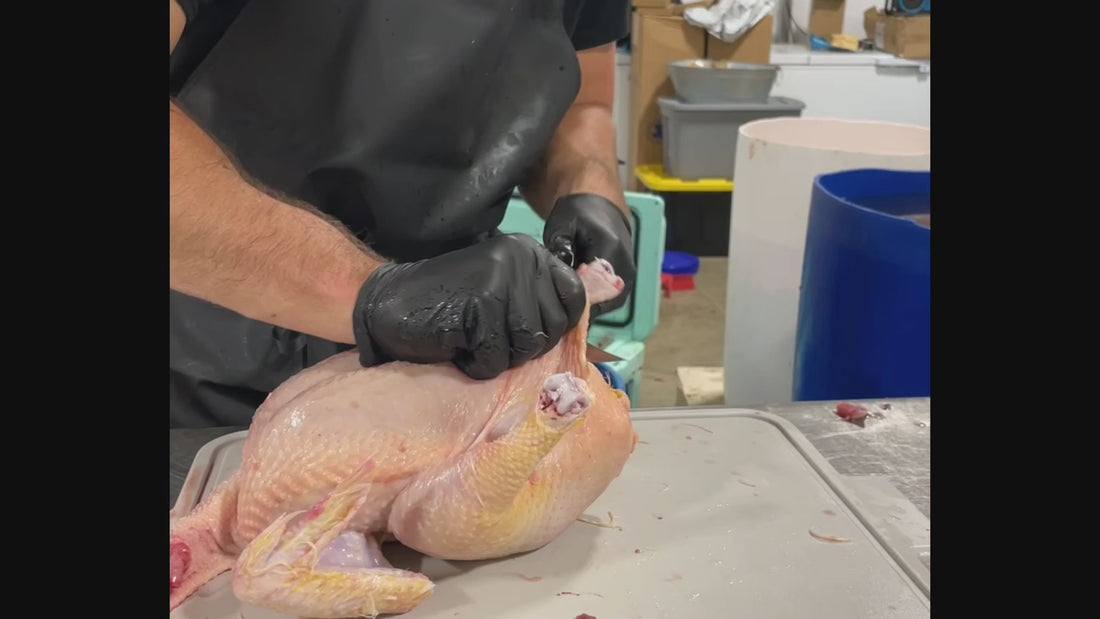 Chicken Processing Workshop – Fat Mountain Farms
